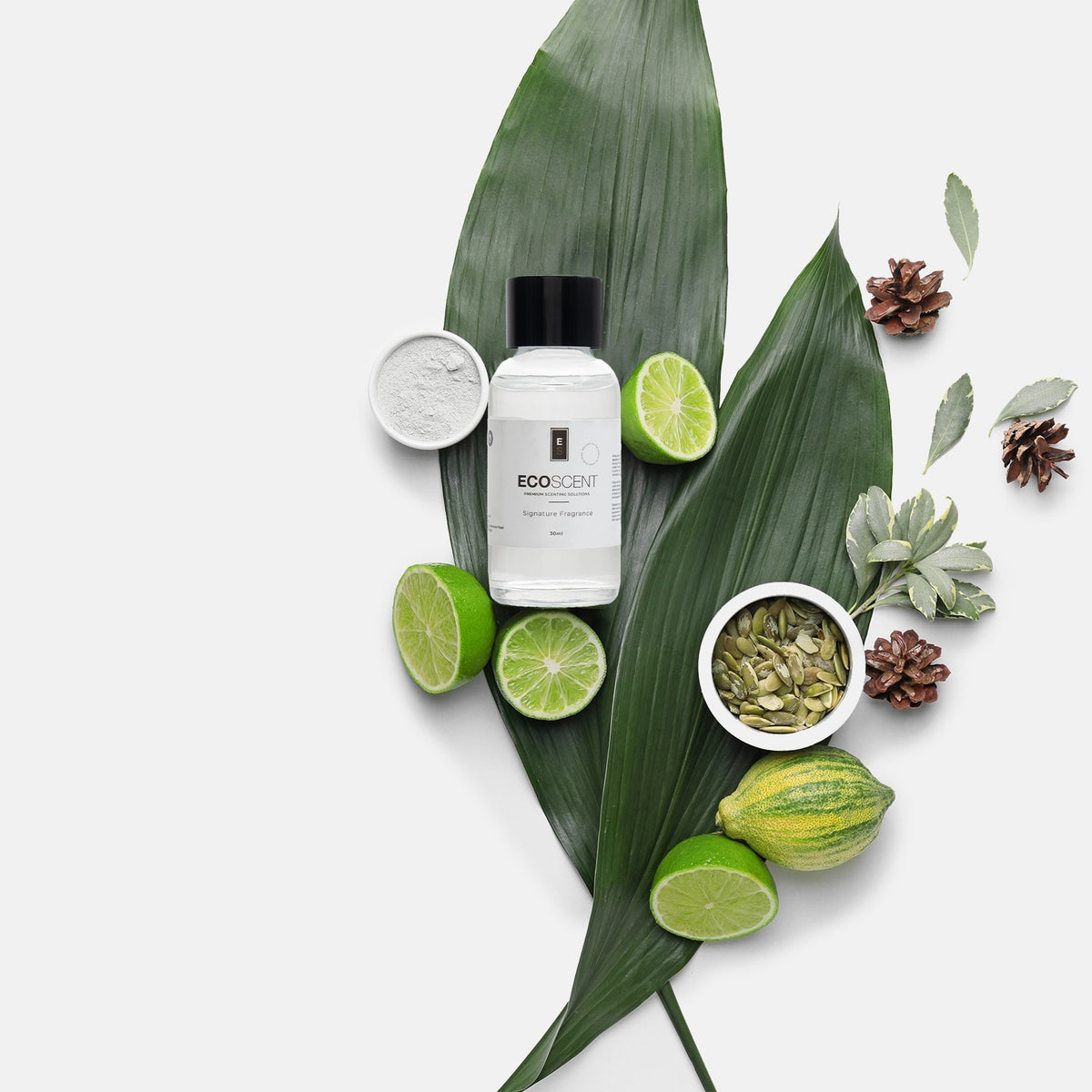 Fragrances – EcoScent Premium Scent Solutions